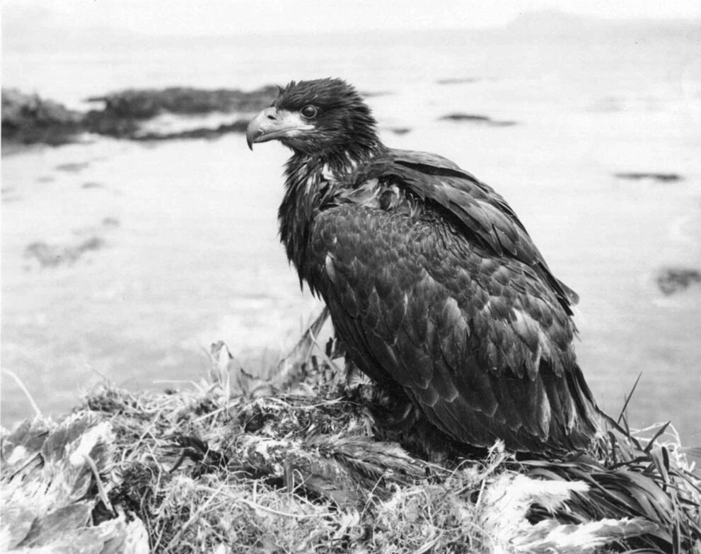 Homepage - Duke Farms