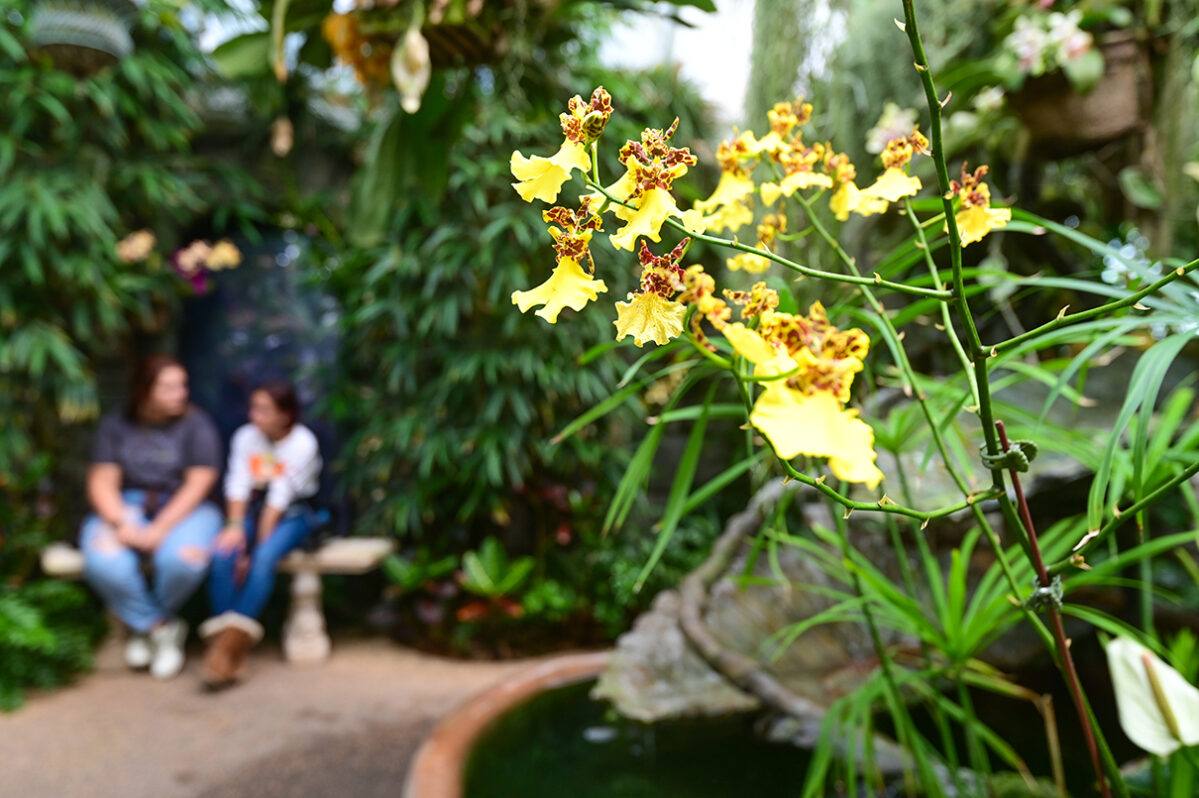 Homepage - Duke Farms