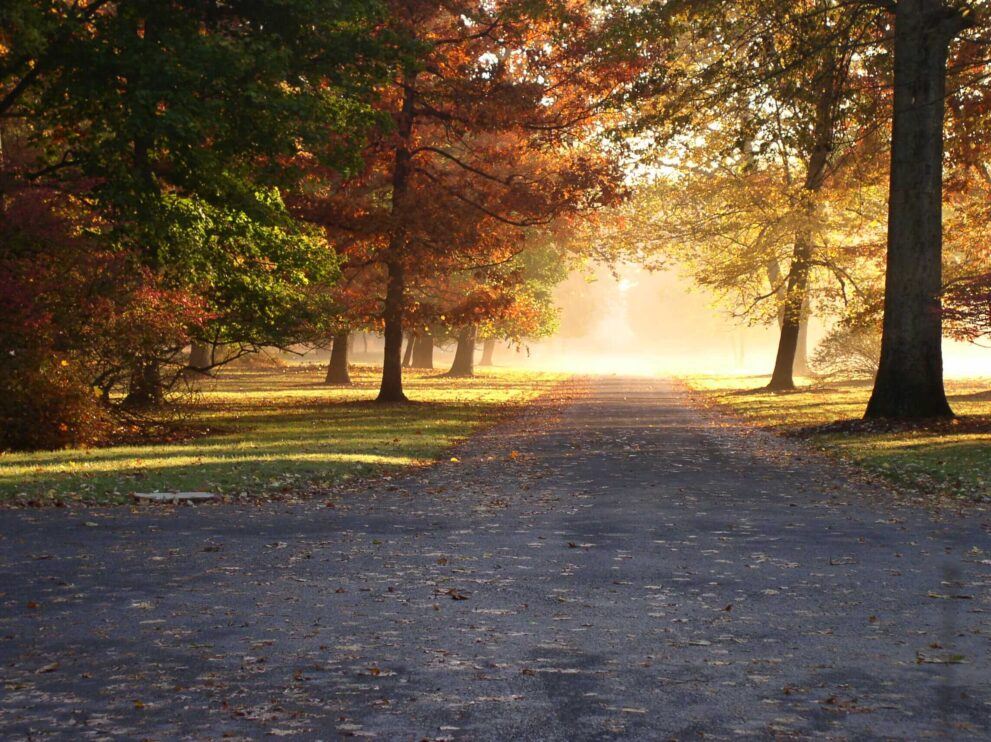 About Duke Farms - Duke Farms