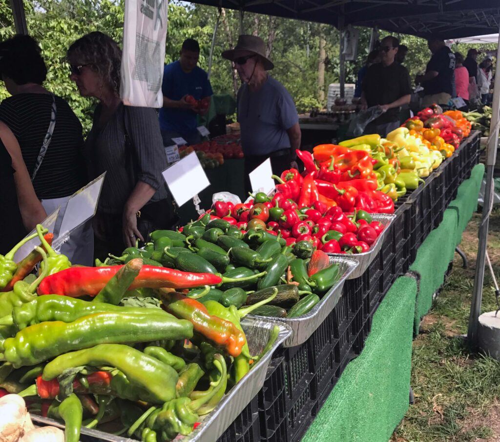 Property Highlights & Activities - Duke Farms