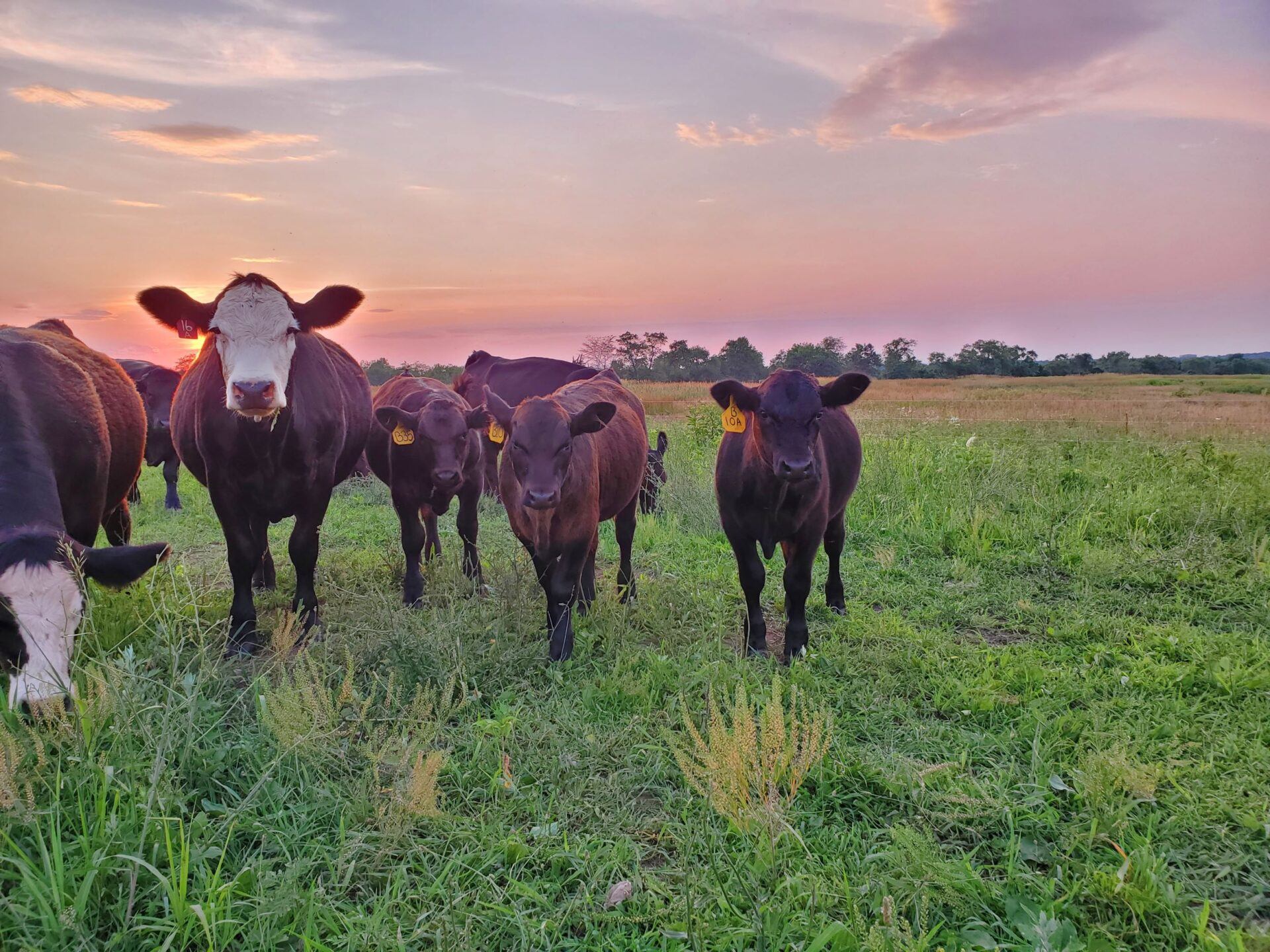 Our Impact - Duke Farms