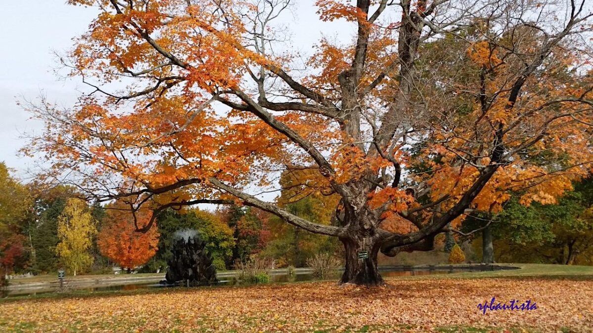 Homepage - Duke Farms