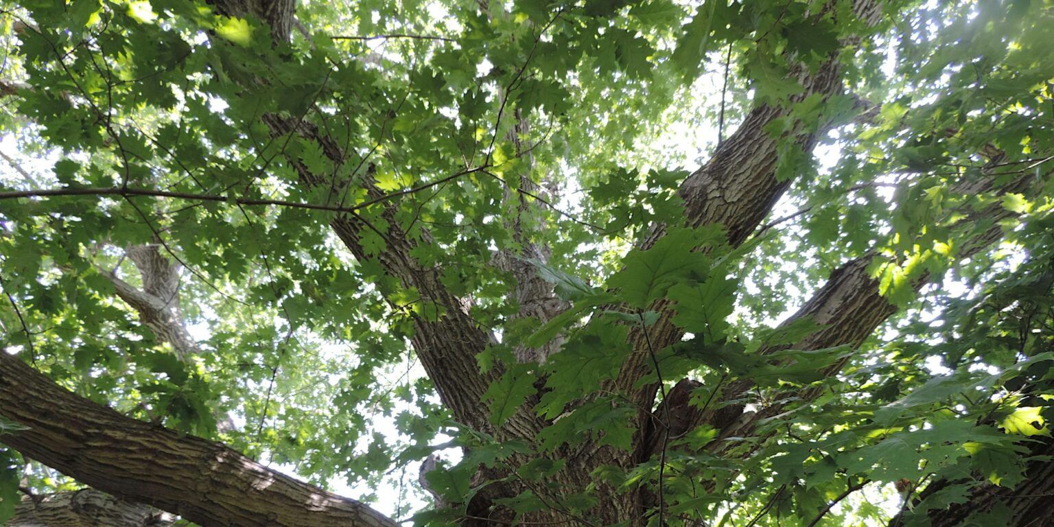 Homepage - Duke Farms