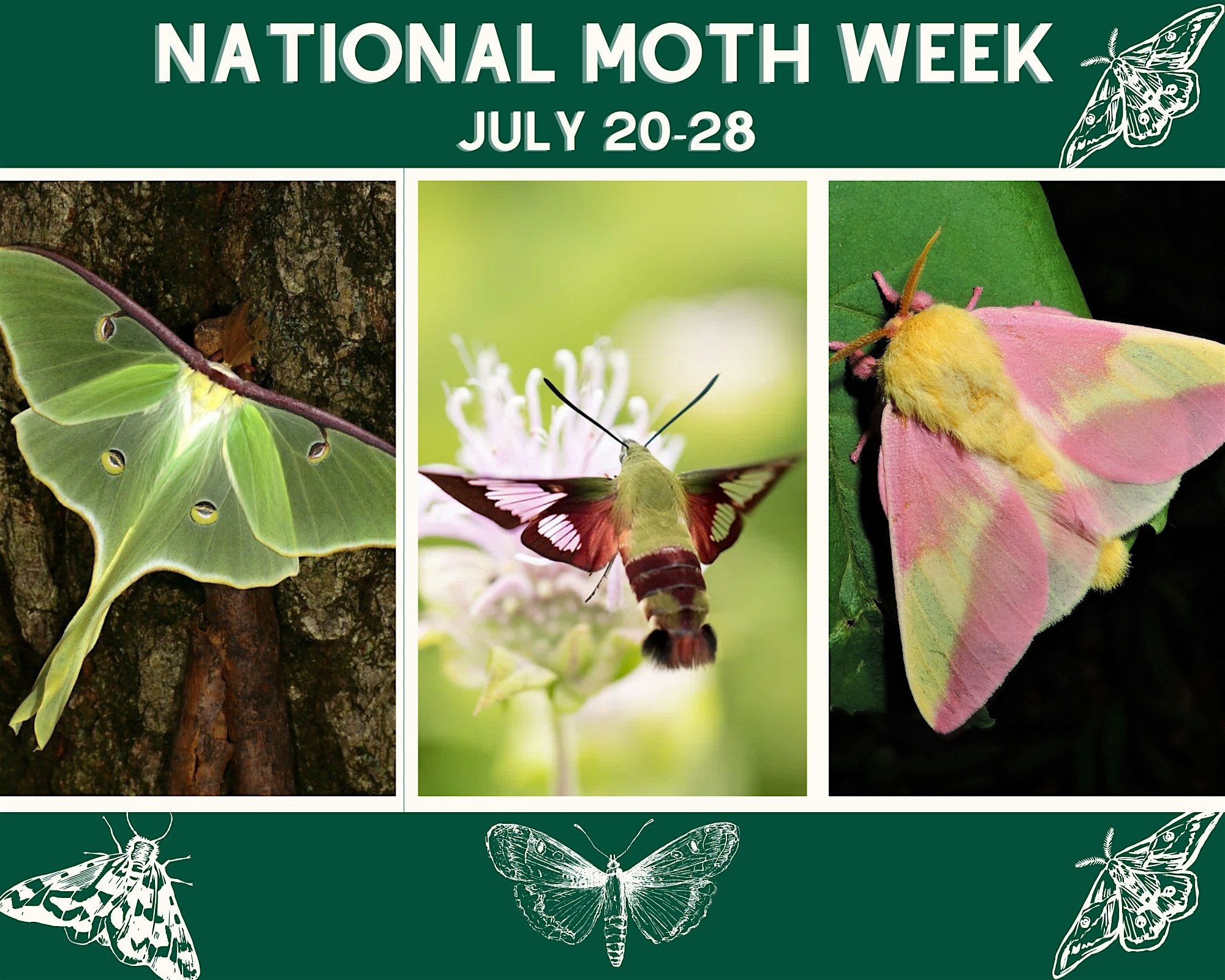 An Evening With the Moths - Duke Farms