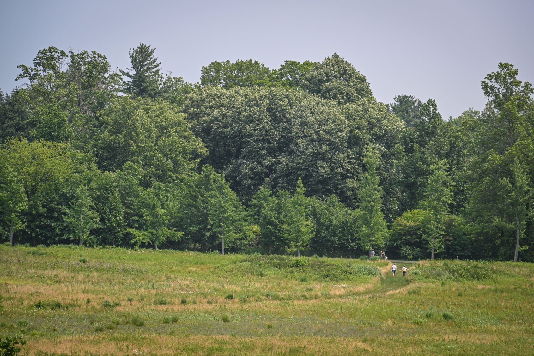 Harnessing Natural Climate Solutions at Duke Farms - Duke Farms
