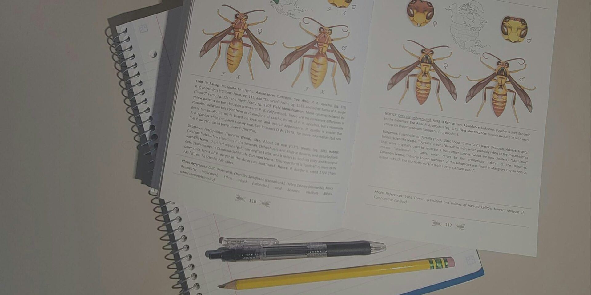 Our Events - Duke Farms