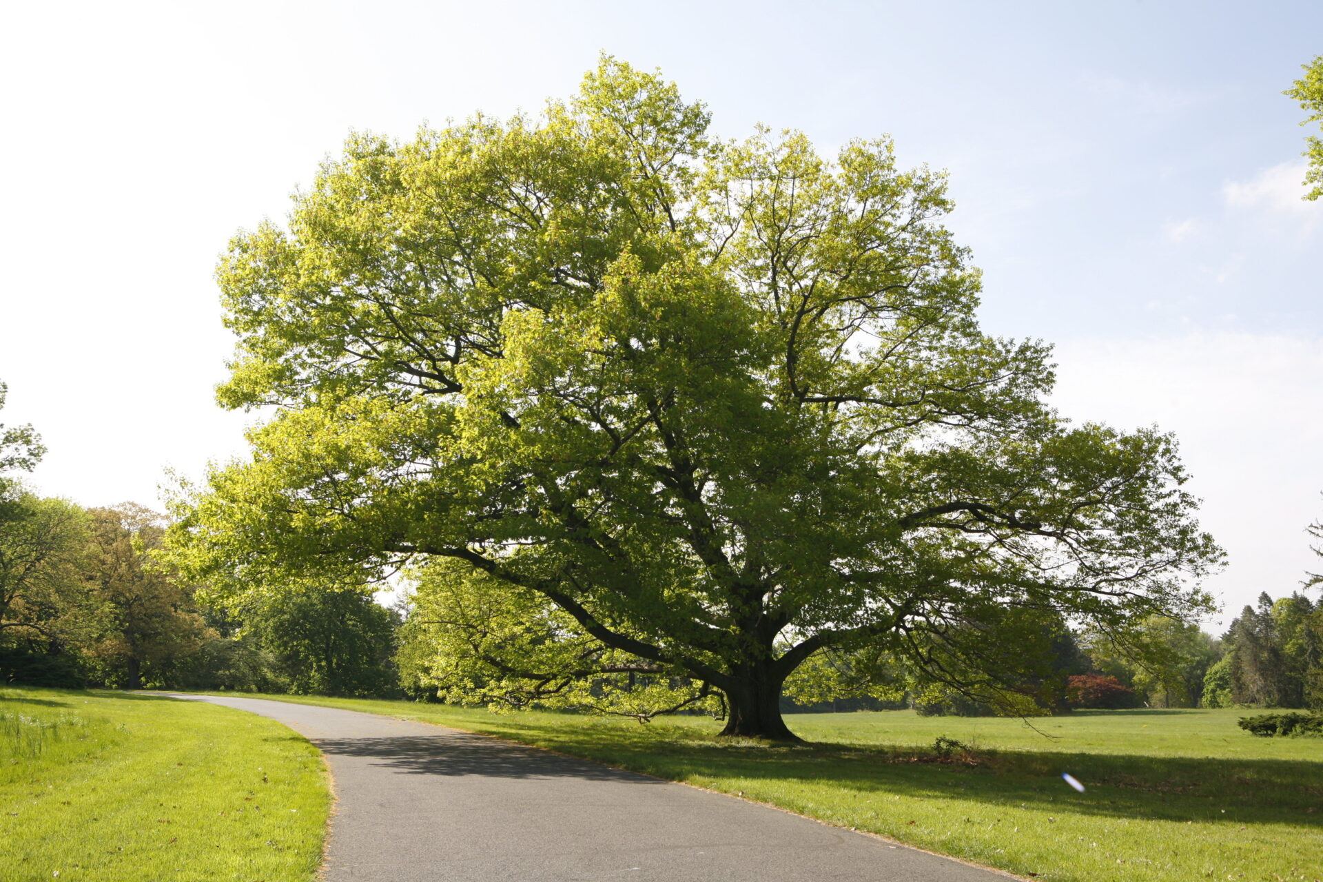 Eagle Cam - Duke Farms