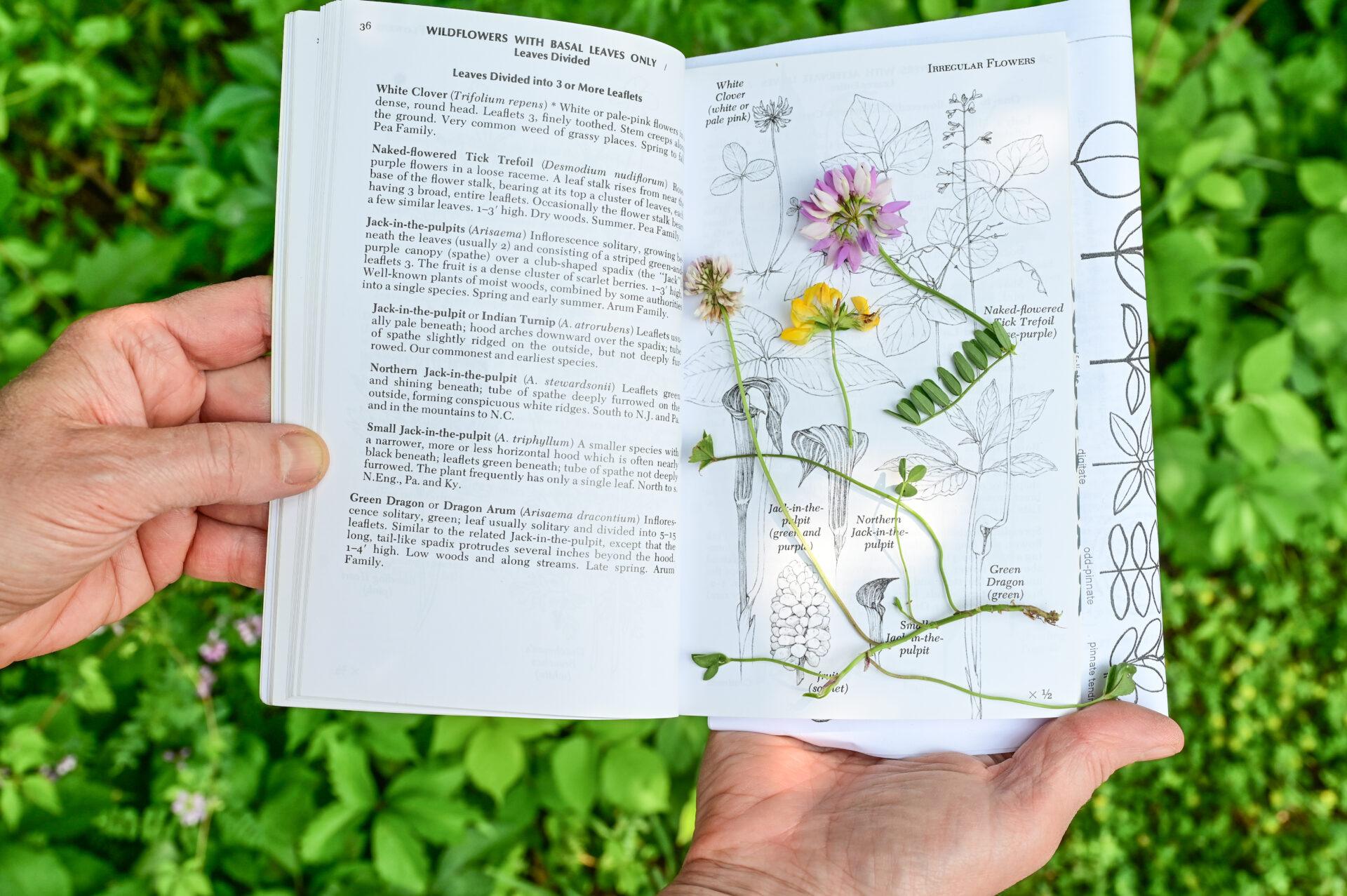 Nature Experiences - Duke Farms