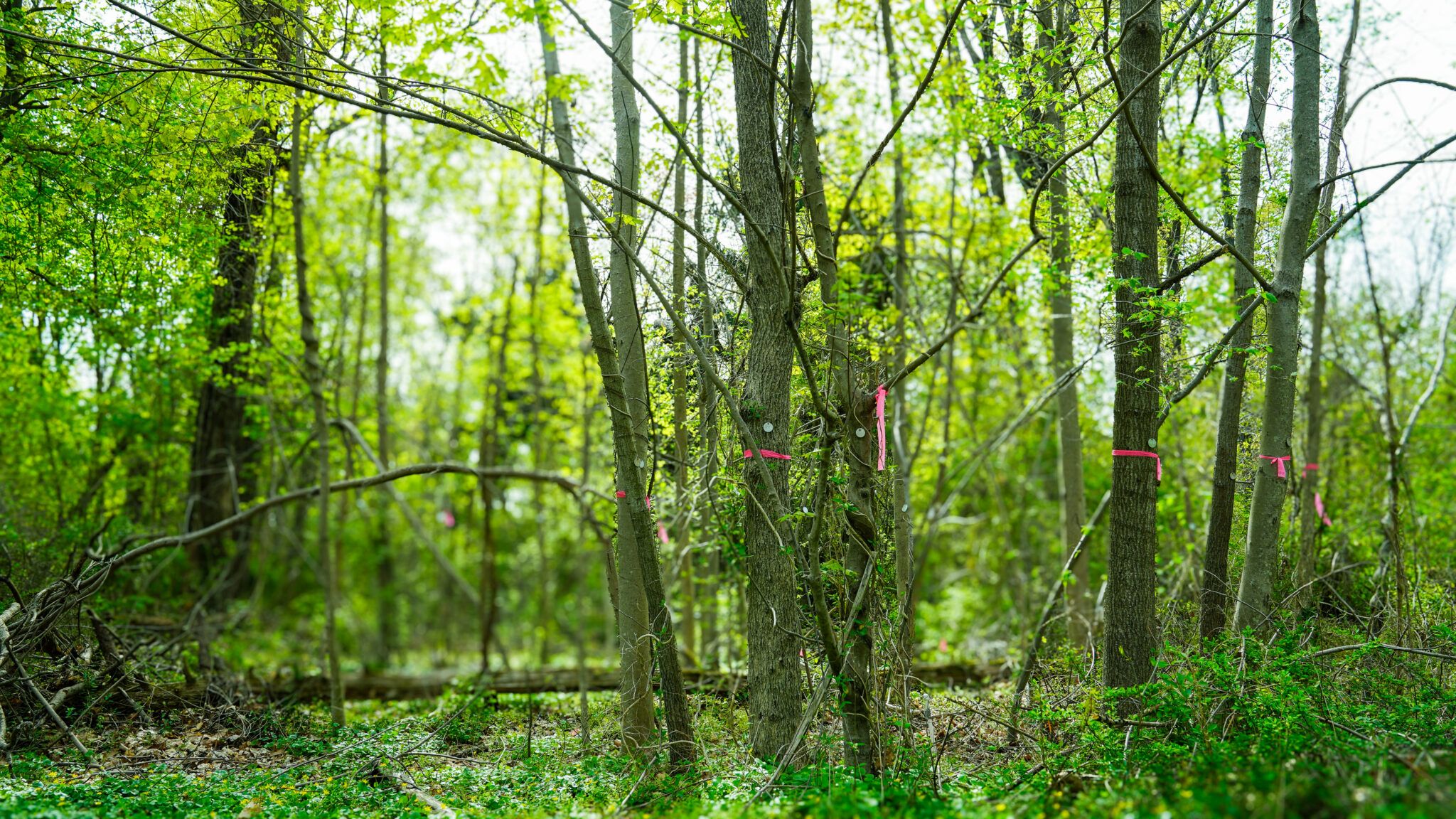 Farm Barn Orientation Center - Duke Farms