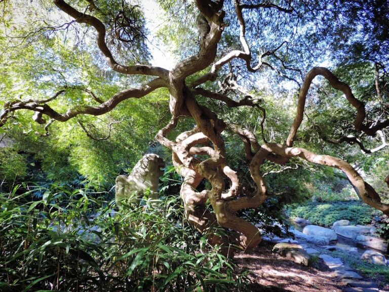 Plan Your Visit - Duke Farms