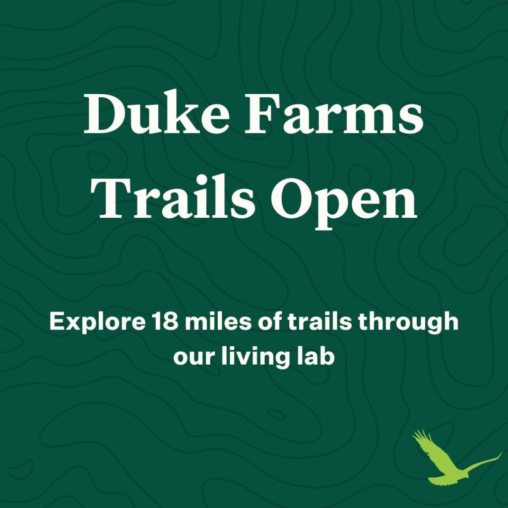 Field Notes - Duke Farms